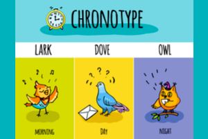 Chronotype Quiz - Quiz - Quizony.com
