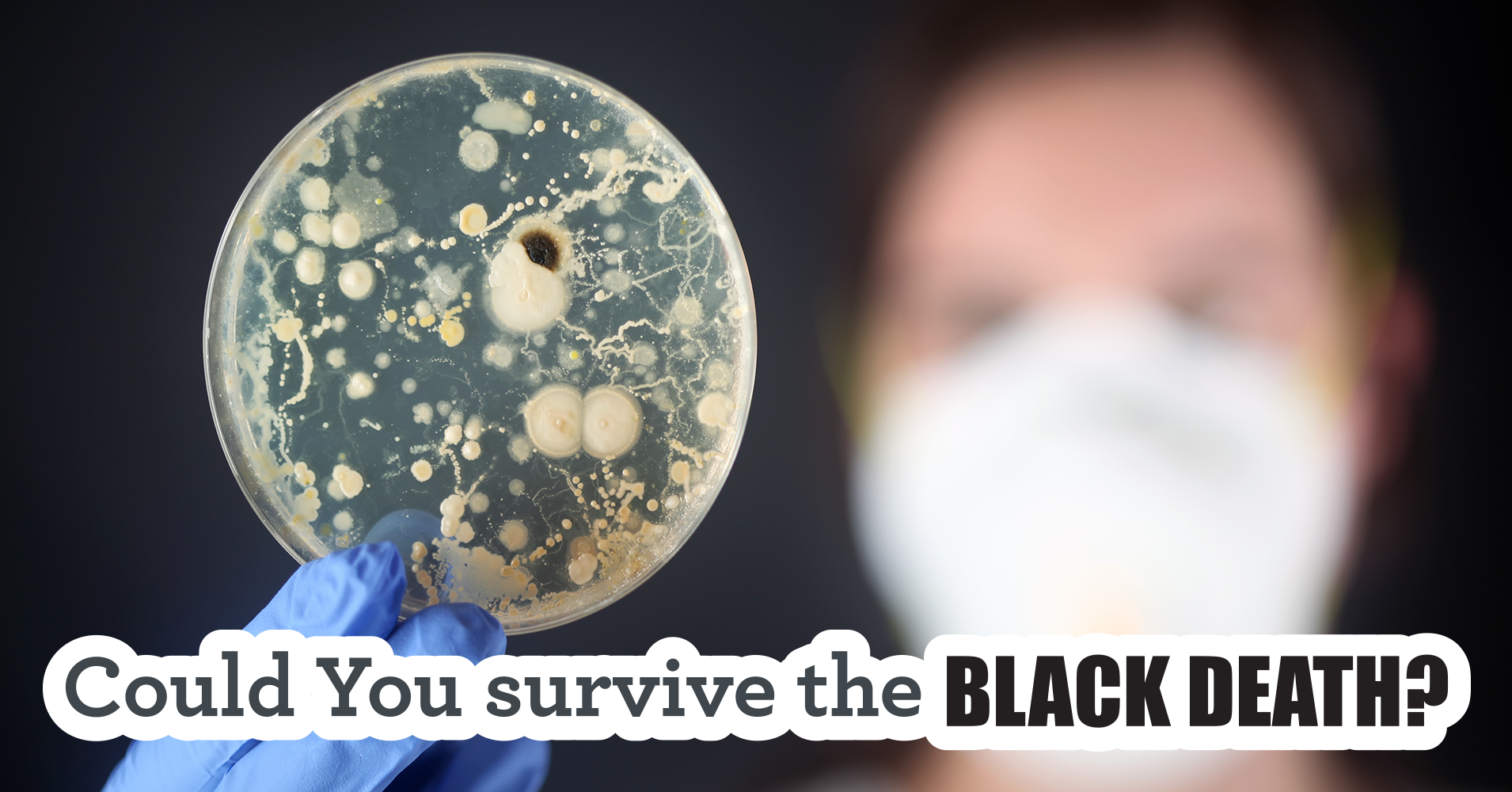 Could You Survive The Black Death? - Quiz - Quizony.com