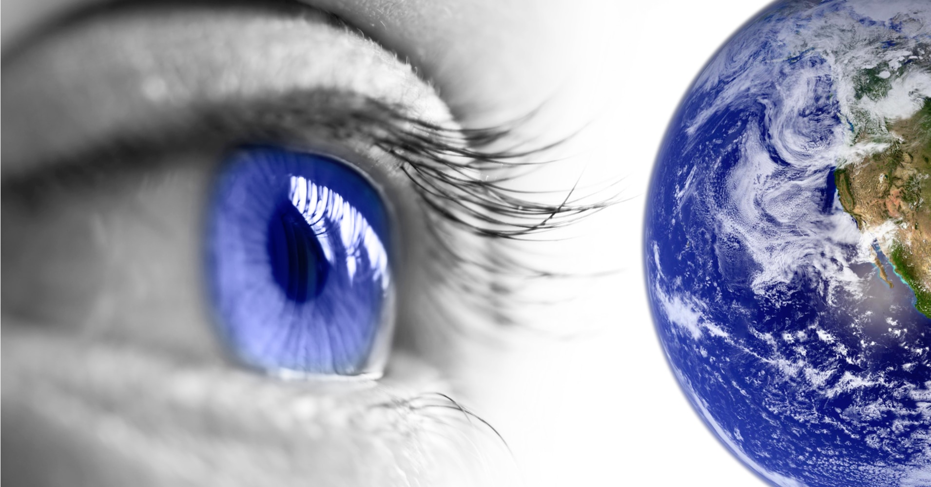 How Do I See The World? - Quiz