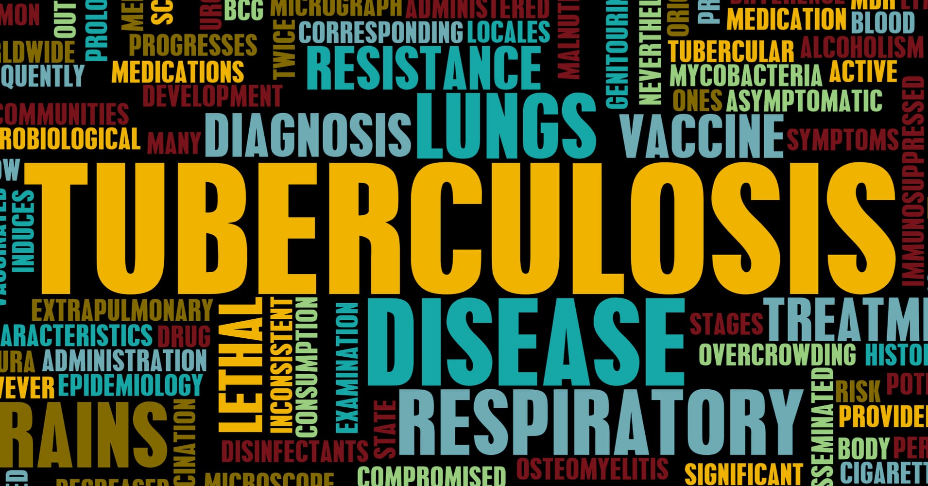 Medical Terminology Quiz Quiz Quizony Medical Terminology Quiz Quiz Quizony