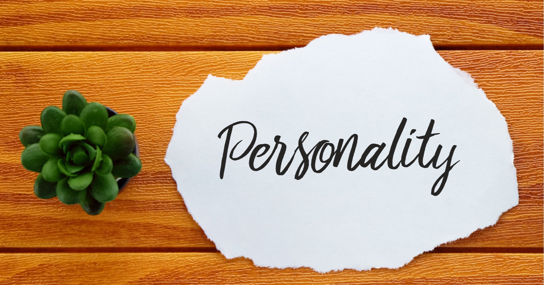 Plant Personality - Quiz