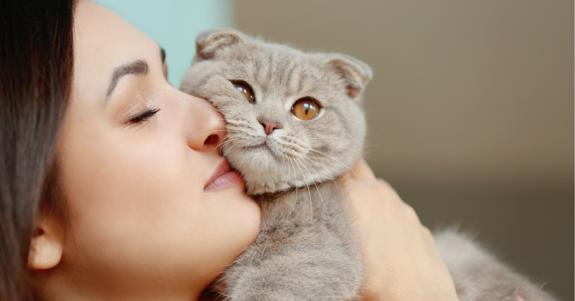 How To Get A Cat To Foster A Kitten Cat Meme Stock Pictures And Photos How To Get A Cat To Foster A Kitten Cat Meme Stock Pictures And Photos