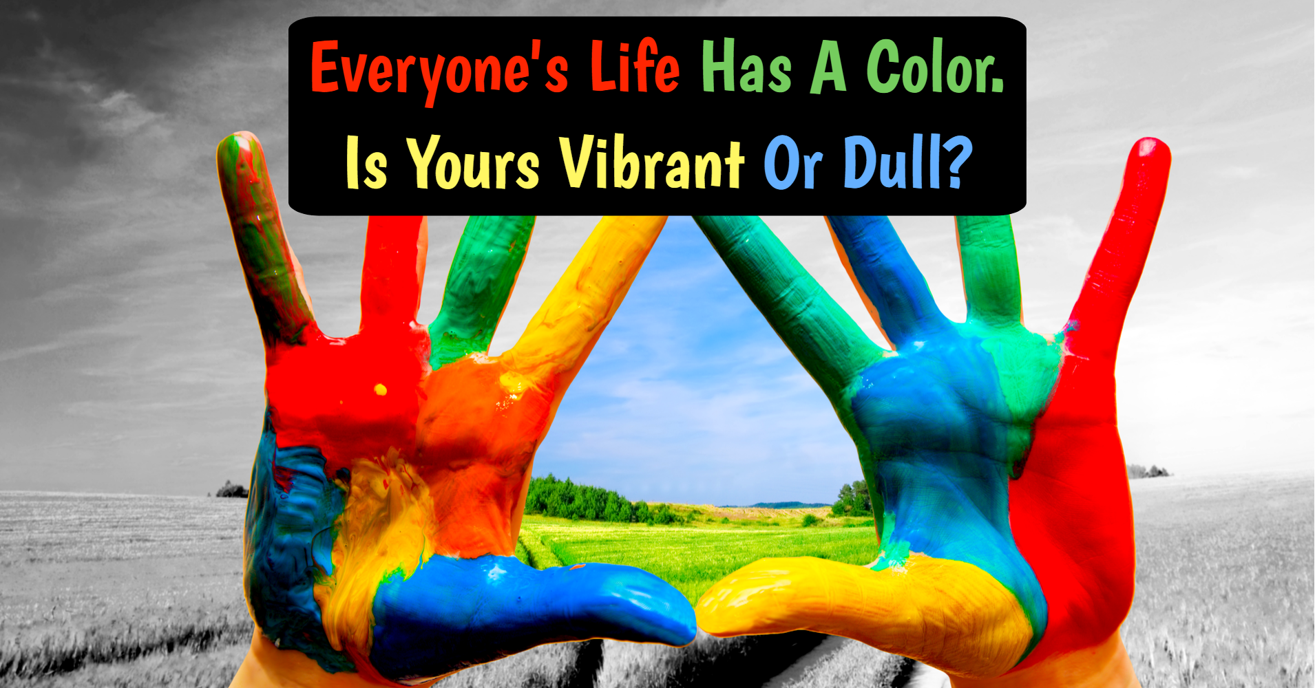 What Color Is your Life? - Quiz