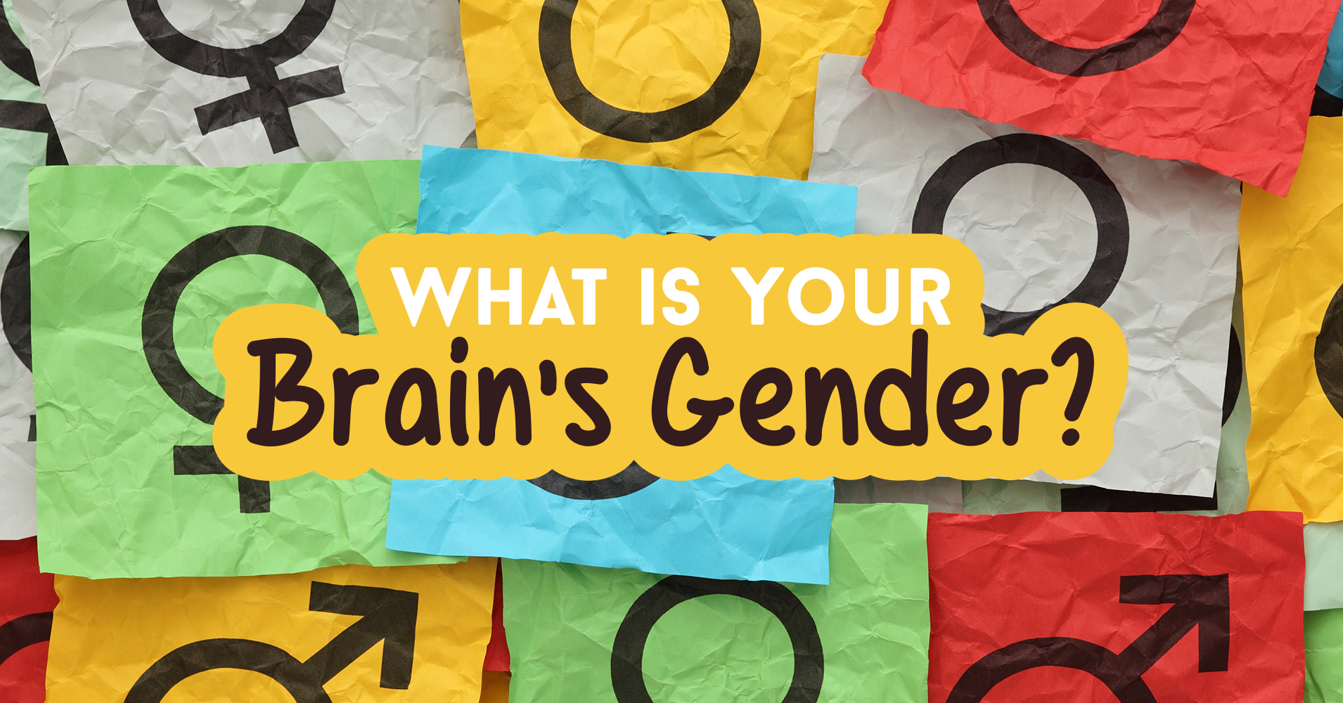 What is Your Brain's Gender? Question 1 - You get a giftcard to Barnes ...