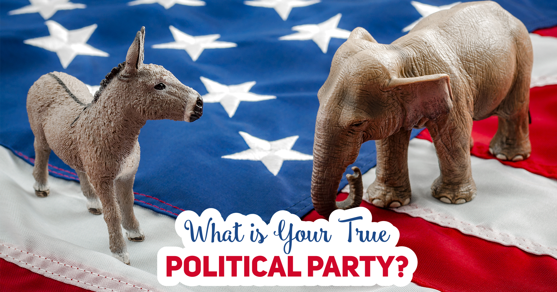 What Is Your True Political Party Quiz Quizony What Is Your True Political Party Quiz Quizony