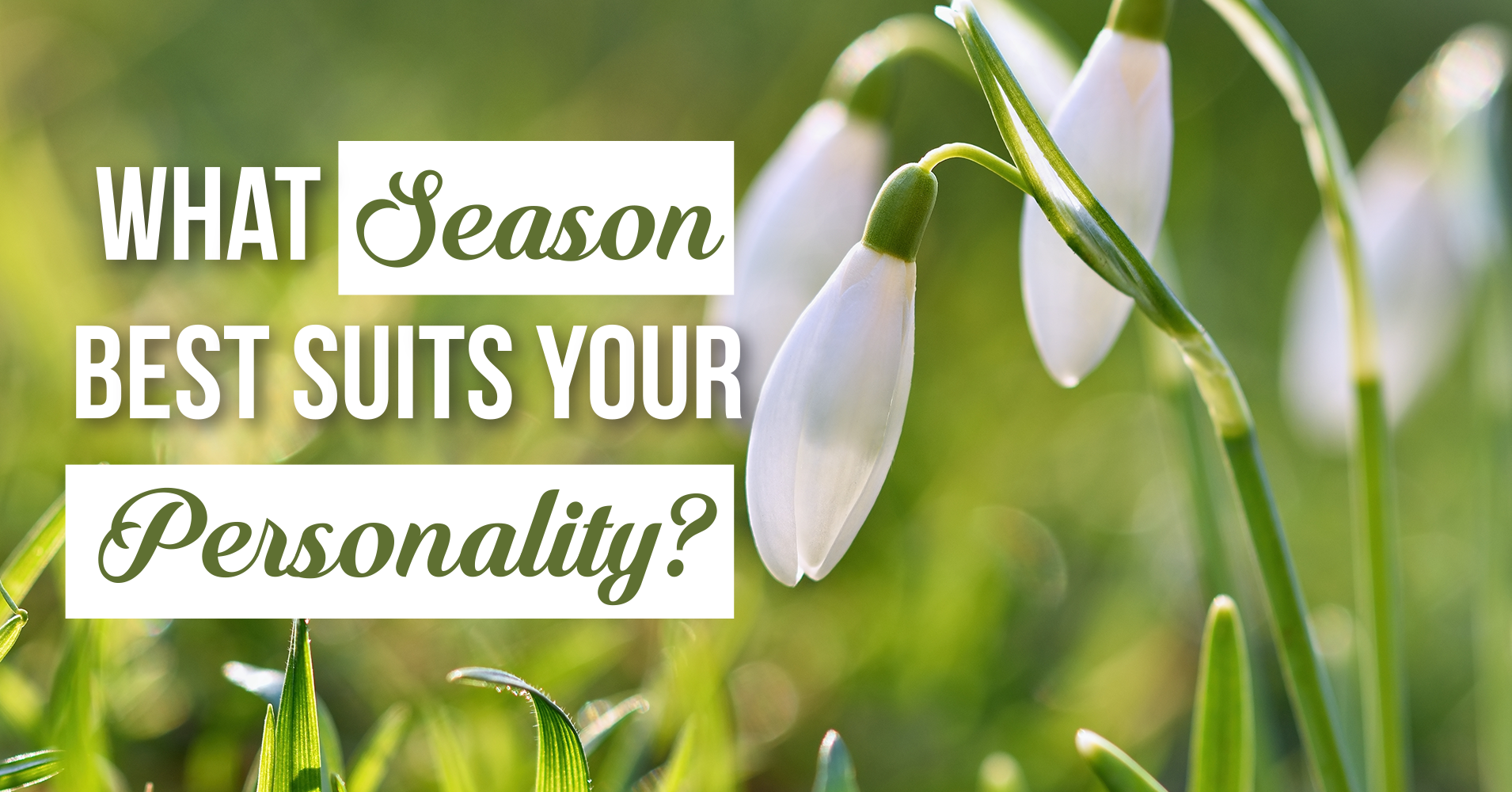What Season Best Suits Your Personality? Question 14 - What is your ...