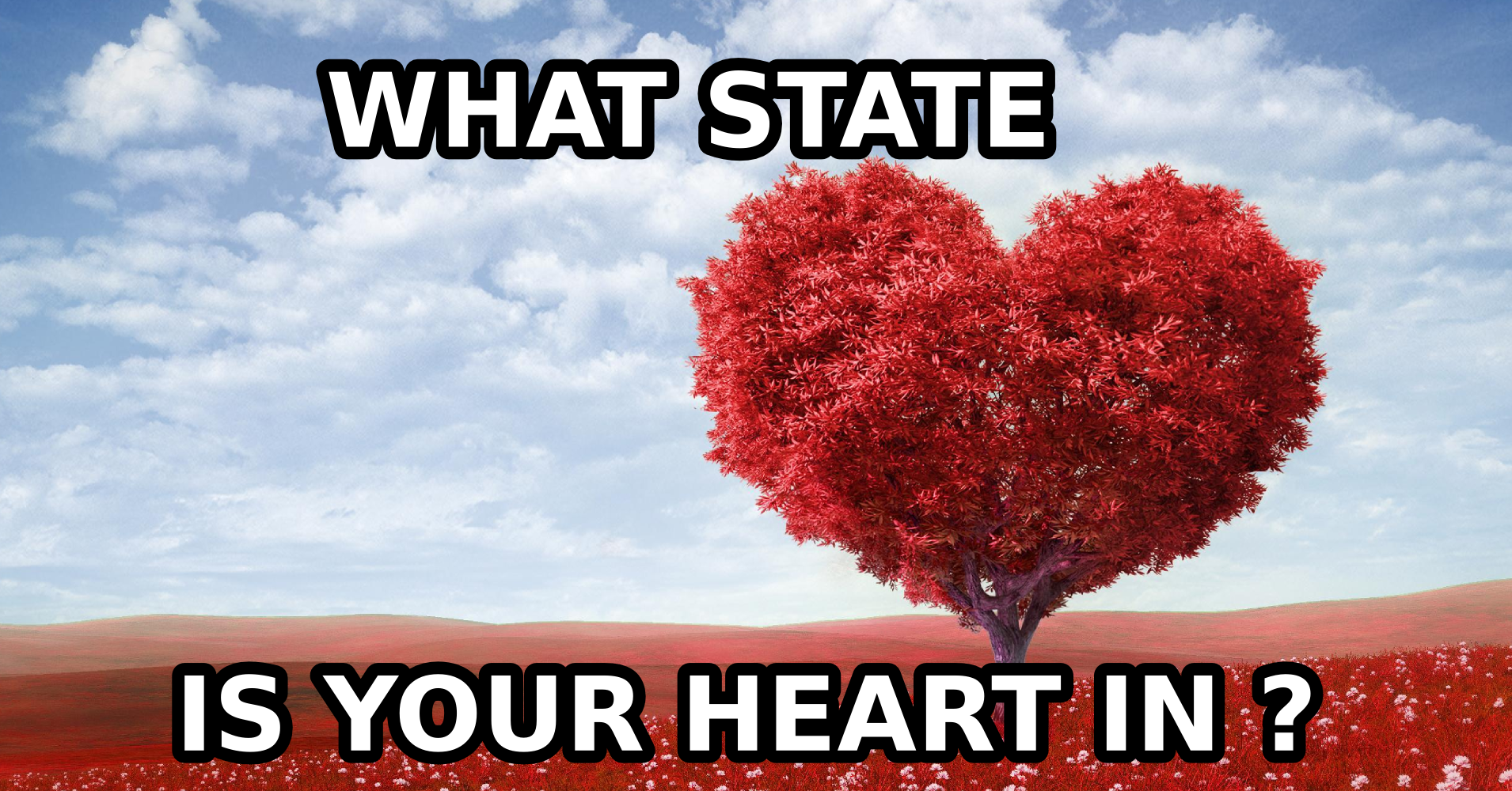 What State Is Your Heart In? Question 1 - What are you doing right now?
