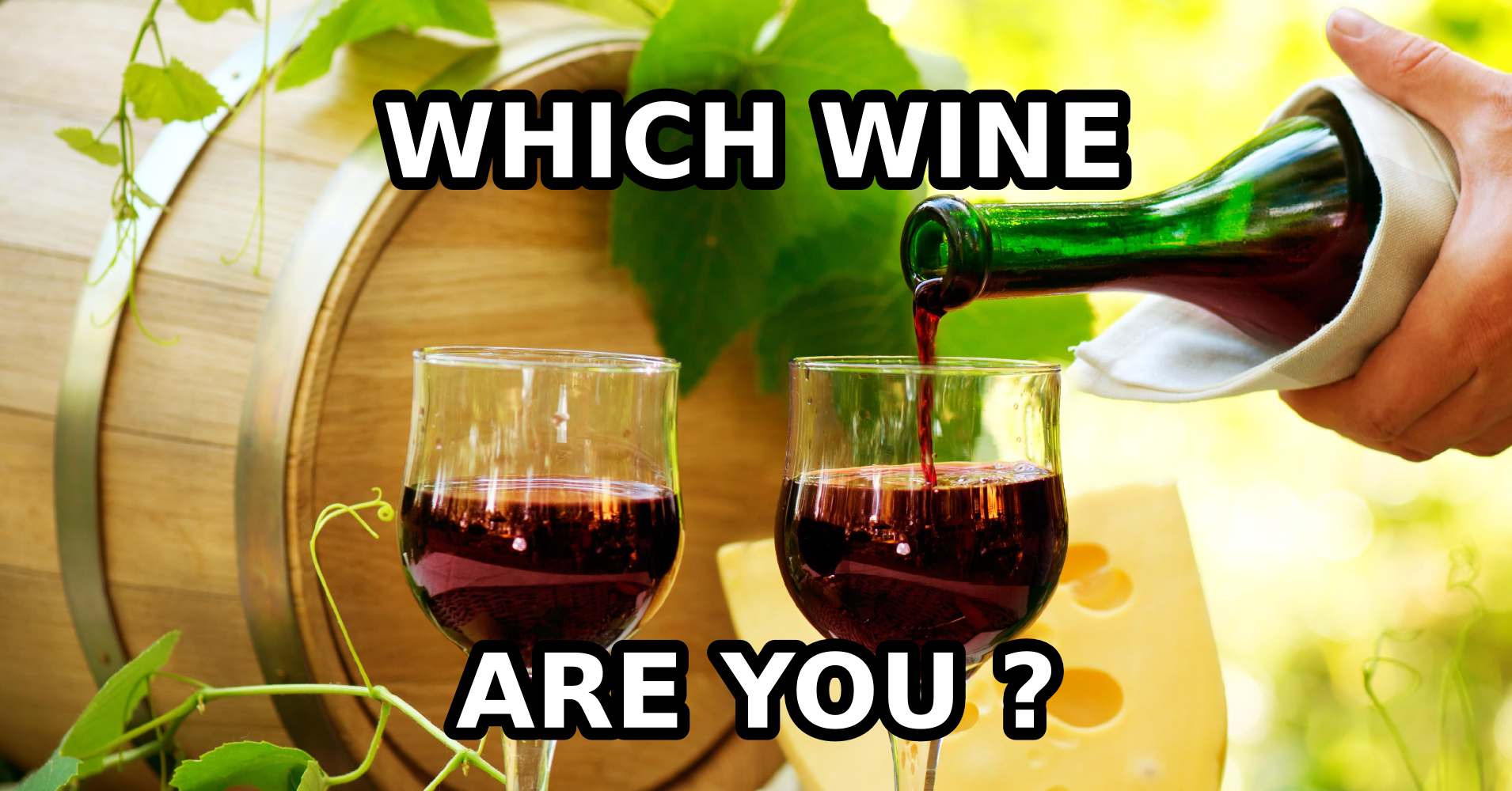 What Wine Are You Question 12 Your Best Friend Just Hooked Up With What Wine Are You Question 12 Your Best Friend Just Hooked Up With